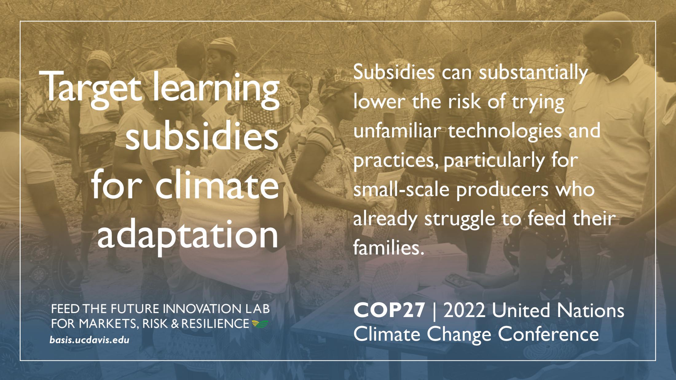 Cop27 Jumpstart Smallholder Climate Adaptation By Addressing Risk